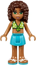 Heartlake Summer Pool (41313) | LEGO Friends Wiki | Fandom