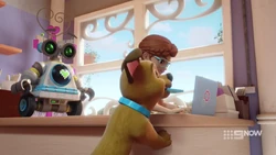 Dash | LEGO Friends Wiki | Fandom