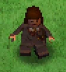 Hermione (Hogwarts) | LEGO Games Wiki | Fandom