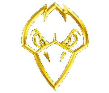 Lego Chima Raven Tribe