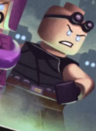 Trapster | Lego Marvel and DC Superheroes Wiki | Fandom