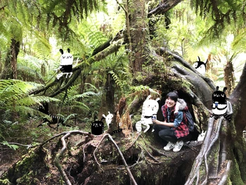 Jiny He | Monkie Kid Wiki | Fandom