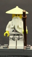 Sensei Wu | LEGO Ninjago: Power of Spinjitzu Wiki | Fandom