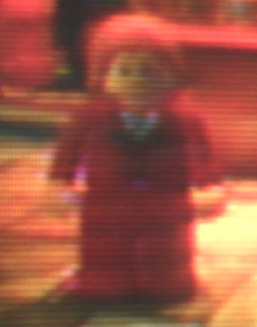 Bill Weasley | Legopedia | Fandom