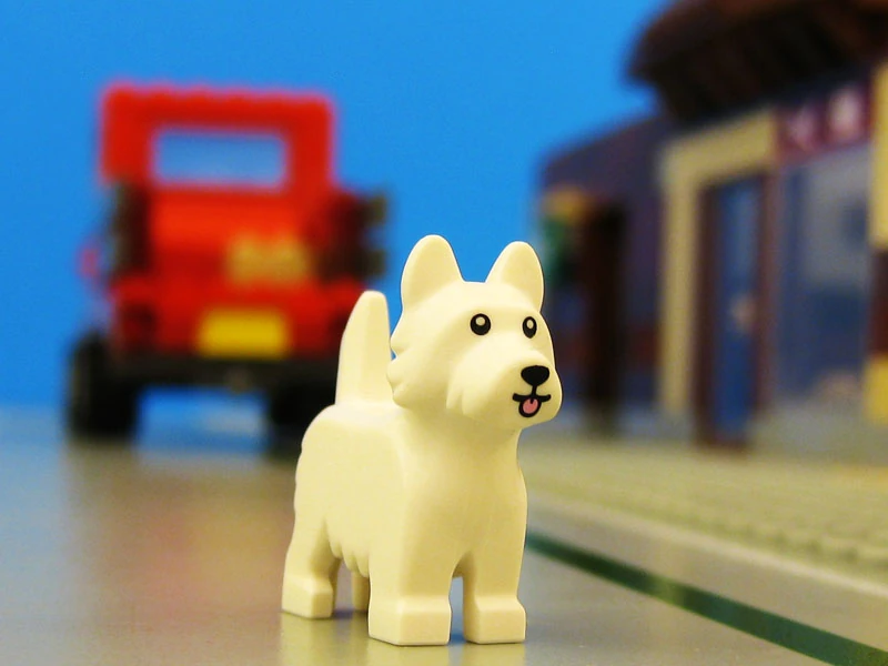 Skipper | Lego Quest Wiki | Fandom