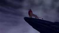 Simba | Leijonakuningas Wikia | Fandom