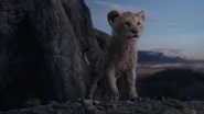 Simba | Disney Wiki | Fandom