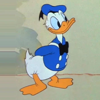 Donald Duck | Disney Wiki | Fandom