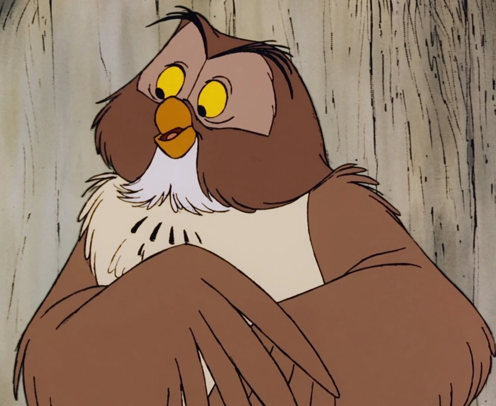 Maître Hibou | Disney Wiki | Fandom