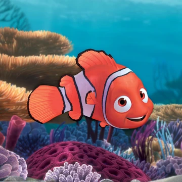 Dessins Des Personnages De Nemo