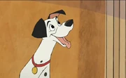 Pongo | Disney Wiki | Fandom
