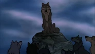 Akela | Disney Wiki | Fandom
