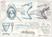 Bruce | Disney Wiki | Fandom