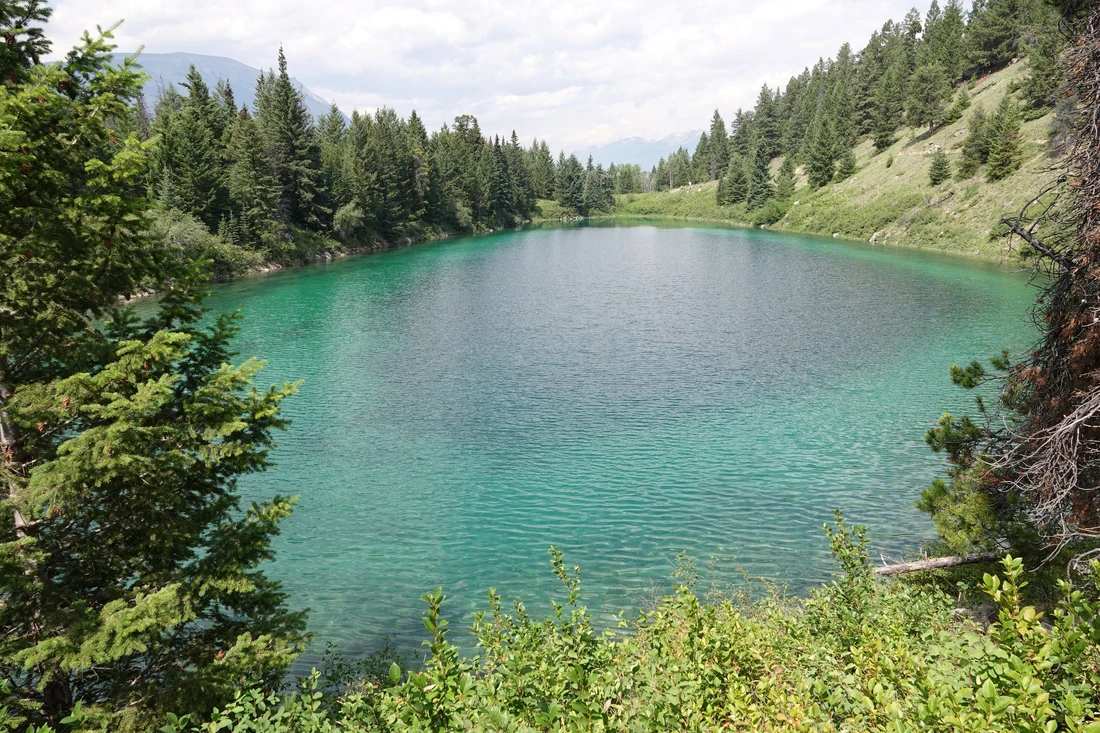 Canada Calgary 2023 | LemonSqueezer Wiki | Fandom