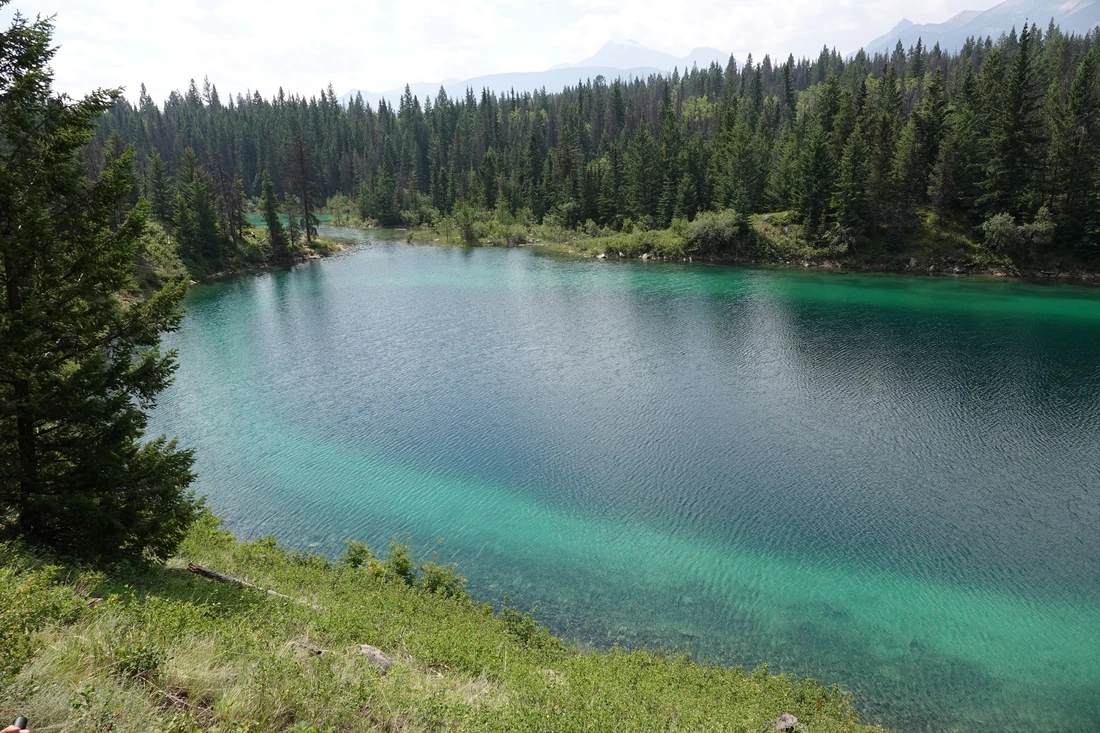 Canada Calgary 2023 | LemonSqueezer Wiki | Fandom