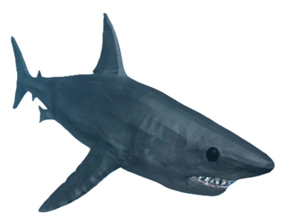 Shark | Lennard Wiki | Fandom
