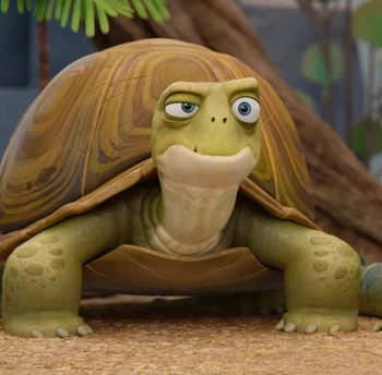 Squirtle | Leo Wiki | Fandom