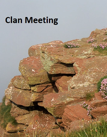 Clan Meeting | LeopardClan Roleplaying Wiki | Fandom