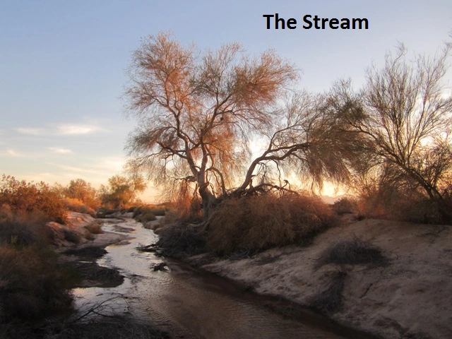 The Stream | LeopardClan Roleplaying Wiki | Fandom