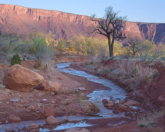 LeopardClan Roleplaying Wiki | Fandom