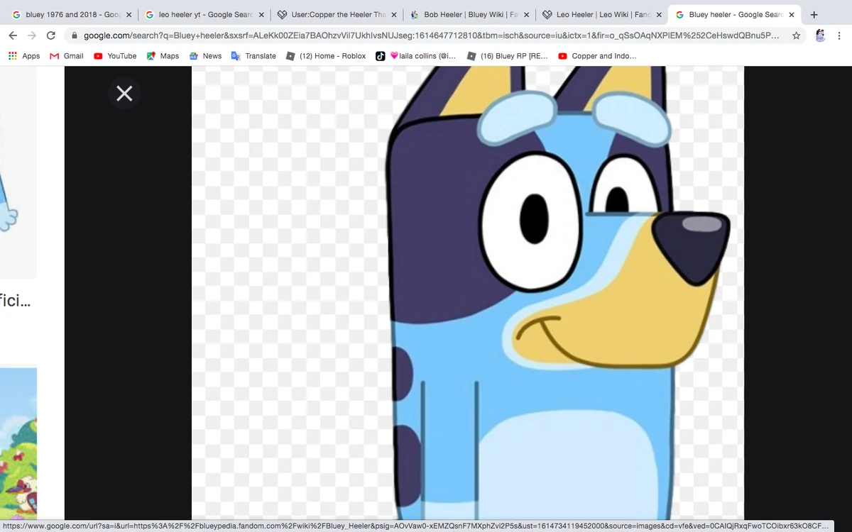 Bluey Heeler | Leo Wiki | Fandom