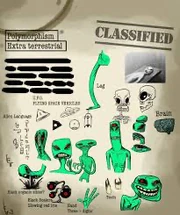 Polymorphism | Leovincible Wiki | Fandom