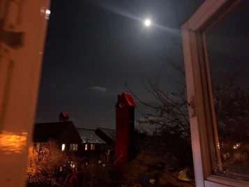 The Watchers | Leovincible Wiki | Fandom