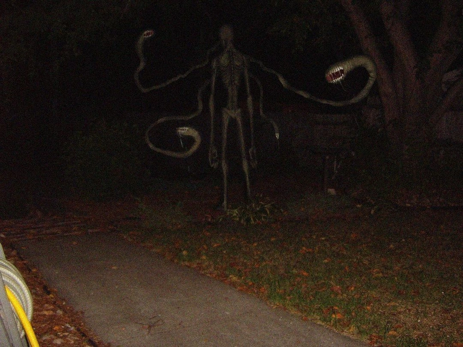 Darmok | Leovincible Wiki | Fandom