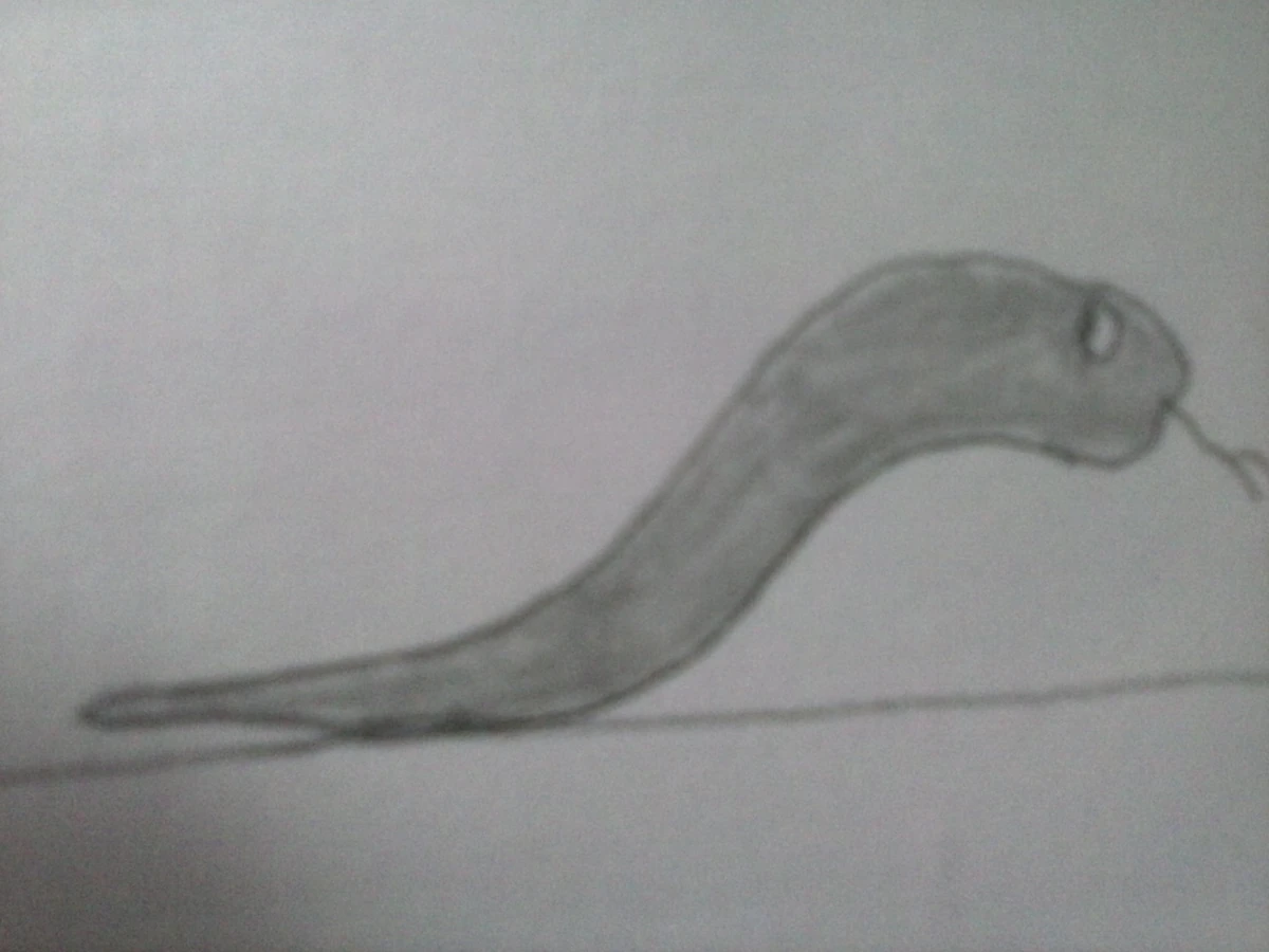 Crazy Snake | Wiki Les Aventures des Logos | Fandom