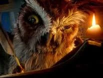 Ezylryb / Lyze de Kiel | Wiki Les Gardiens de Ga'Hoole | Fandom