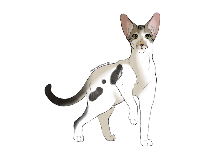 Riri | Wiki Les Oeils de Chats (projet de livre ) | Fandom