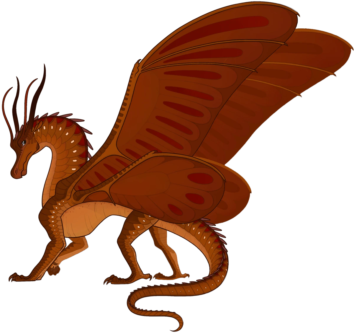 Cinabre | Wiki Les Royaumes de Feu | Fandom