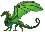 Droséra | Wiki Les Royaumes de Feu | Fandom