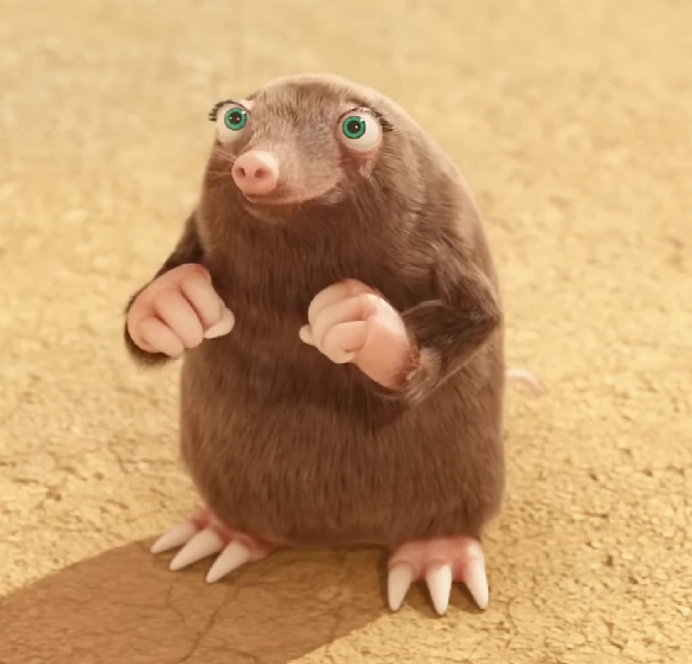 Lucette | Les As de la jungle Wiki | Fandom