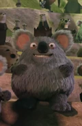 Koala | Les As de la jungle Wiki | Fandom