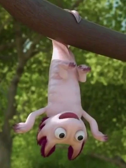 Milo | Les As de la jungle Wiki | Fandom