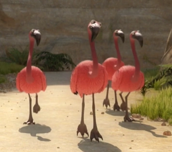 Les danseuses flamants roses | Les As de la jungle Wiki | Fandom