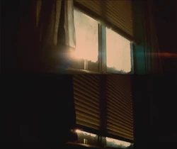 Deleted scenes | Let Me In Wiki | Fandom