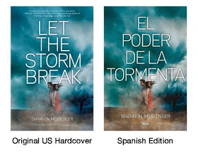Book 2: Let the Storm Break | Let The Sky Fall Series By Shannon ...