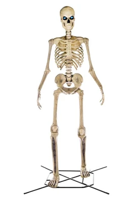 Mart Mart skeleton | Lethal league Outtakes Wiki | Fandom