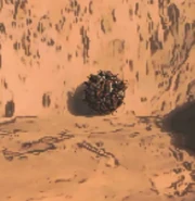 Circuit Bee | Lethal Company Wiki | Fandom