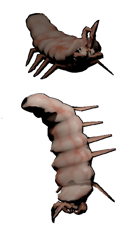 Snare Flea | Lethal Company Wiki | Fandom