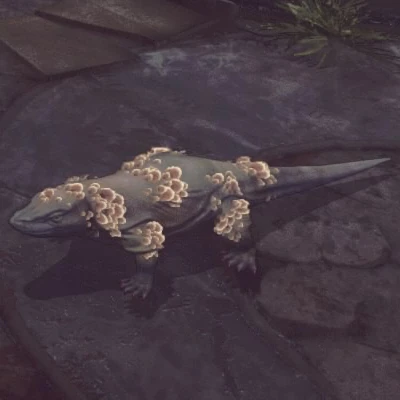 Lizard - Let It Die Wiki