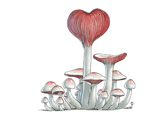 Heartshroom - Let It Die Wiki