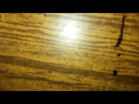 ا | Let's 0 Wiki | Fandom