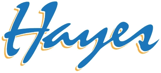 Hayes Auto Body Repairs | Wiki Letsrp | Fandom