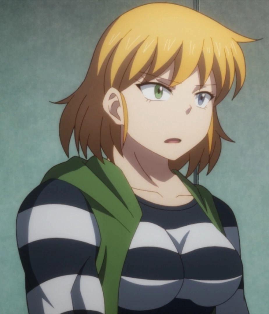 Anego | Level 1 Demon Lord and One Room Hero Wiki | Fandom