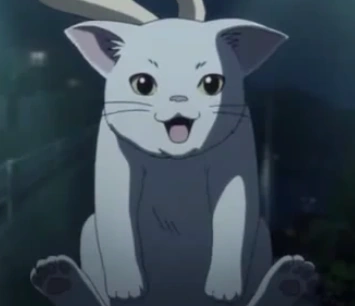 Cat | Level E Wiki | Fandom