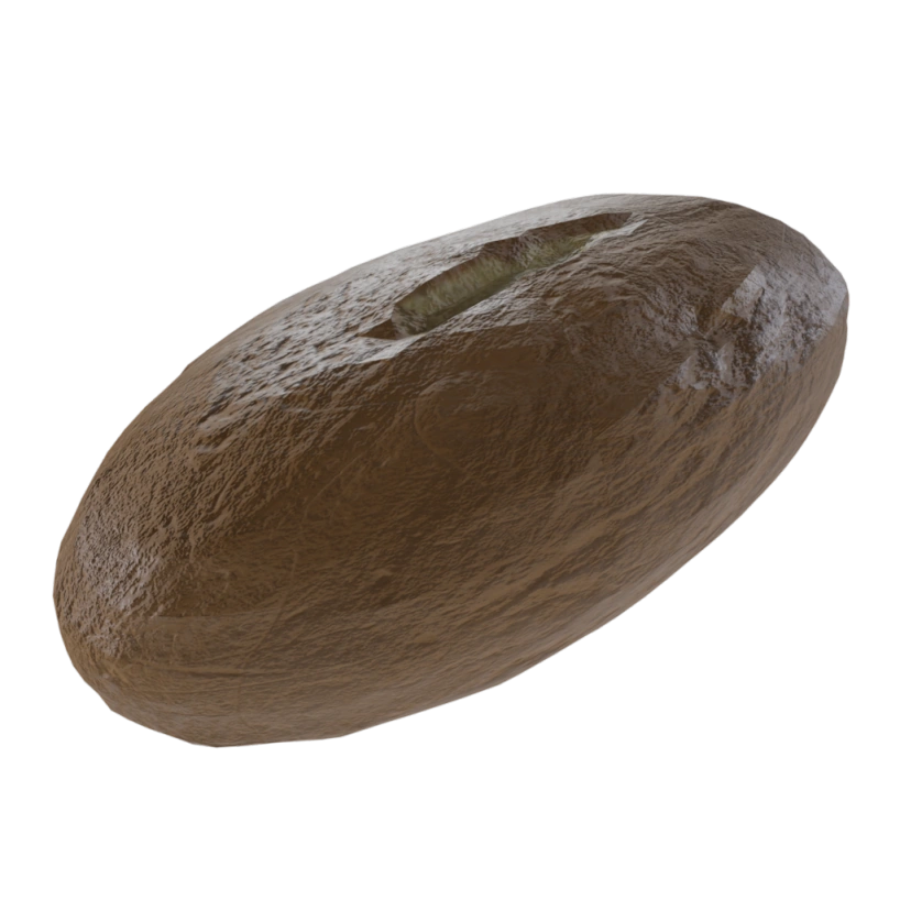 Bread | Levels Wiki | Fandom