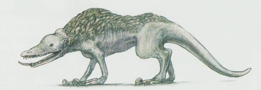 Kappa | Leviathan Wiki | Fandom